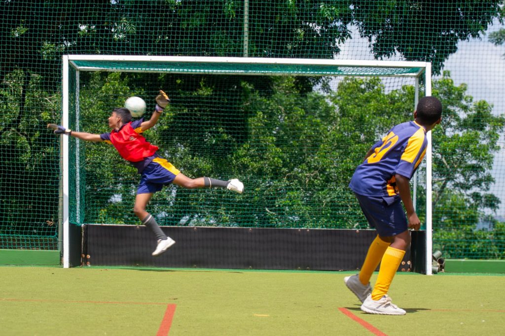 Sarnia Primary School